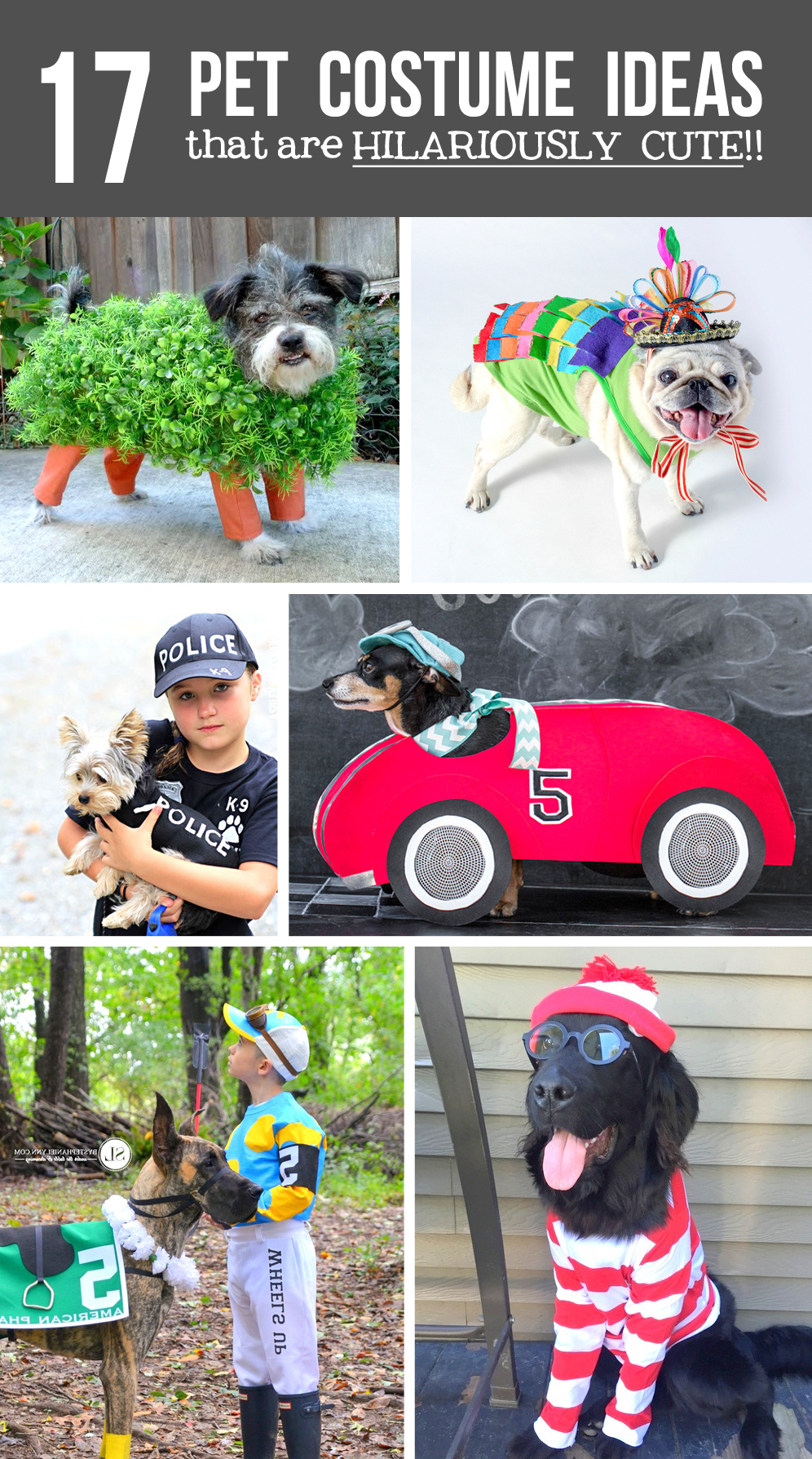 Dog Costume Ideas For Humans Vlr eng br