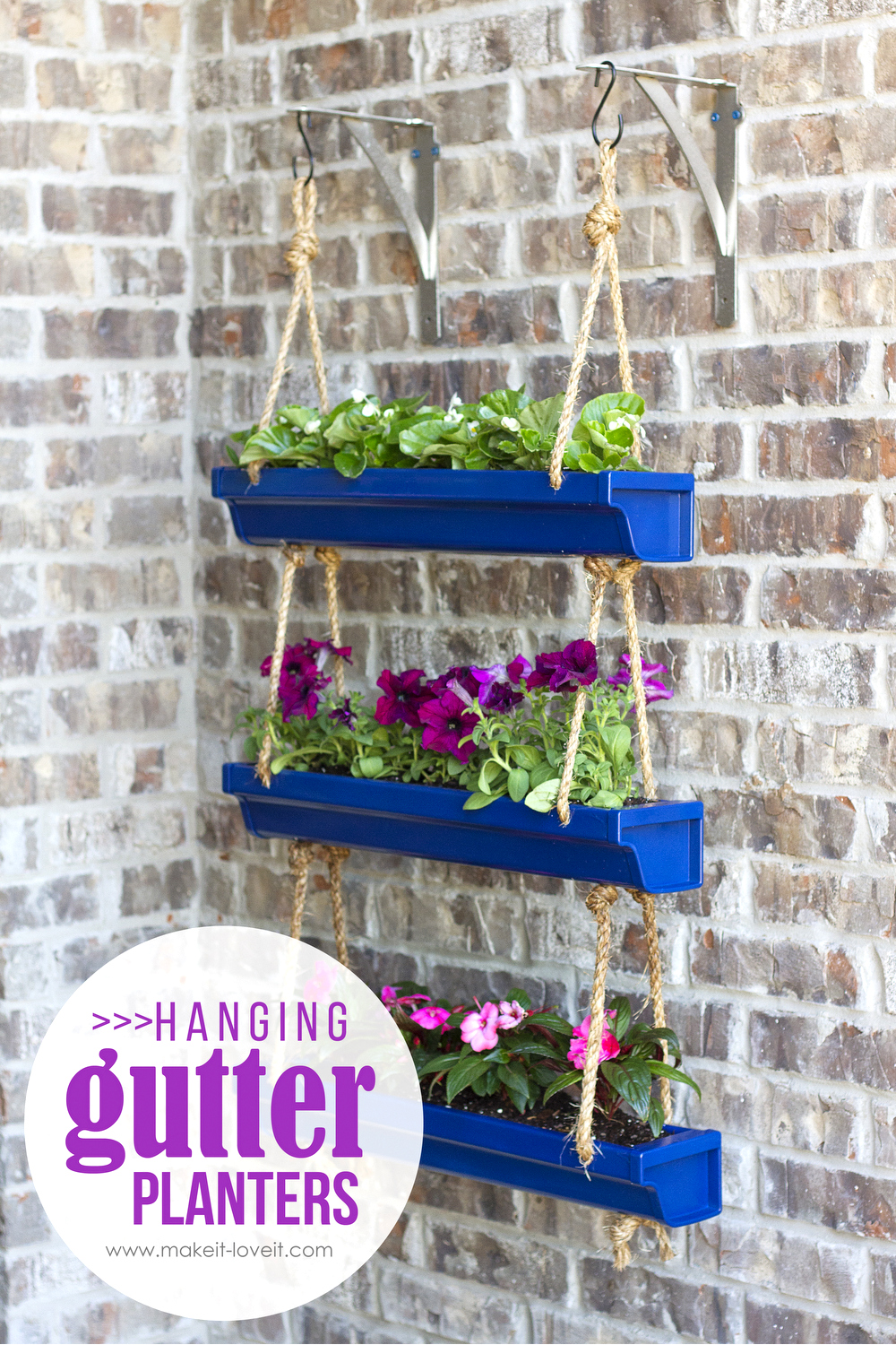 Rain Gutter Planter Wall