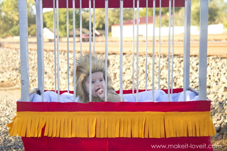 Make a LION Circus Costume | Make It & Love It